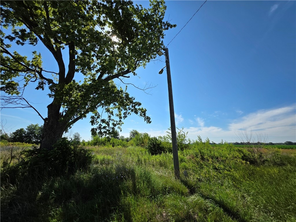 24532 Il Highway 1, Chrisman, IL 61924